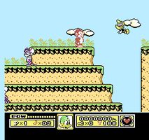 Domkey Kong (Tiny Toon Adventures pirate) - MAME software