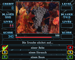 Quizard 3 (v3.2, German, i8751 DE 132 D3) - MAME machine