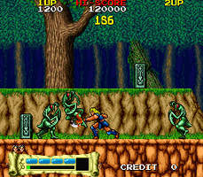 The Lord of King (Japan) - MAME machine